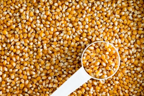 Plástico PLA: Qué es, propiedades y biodegradabilidad